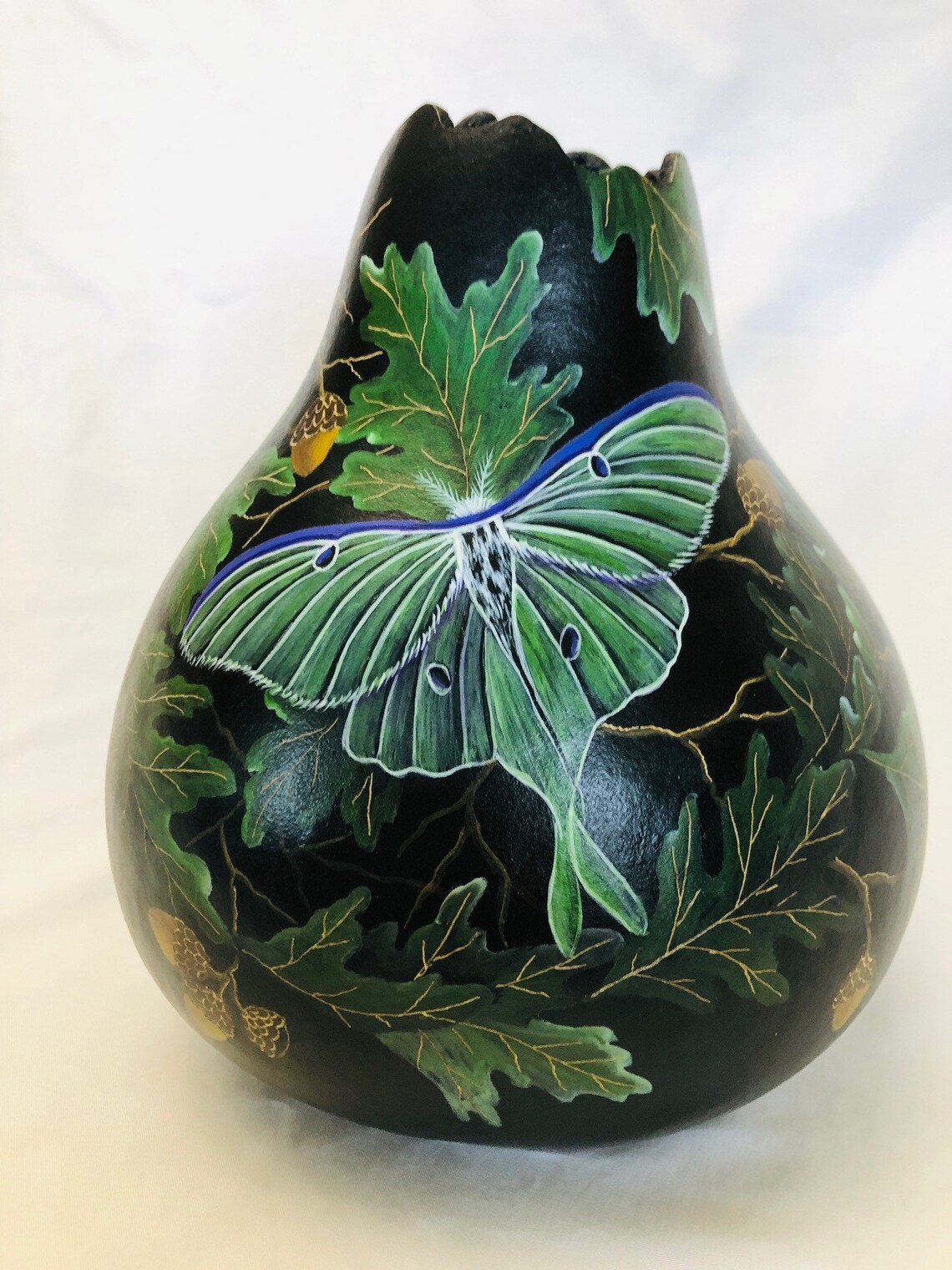 Luna Moth Gourd - Etsy