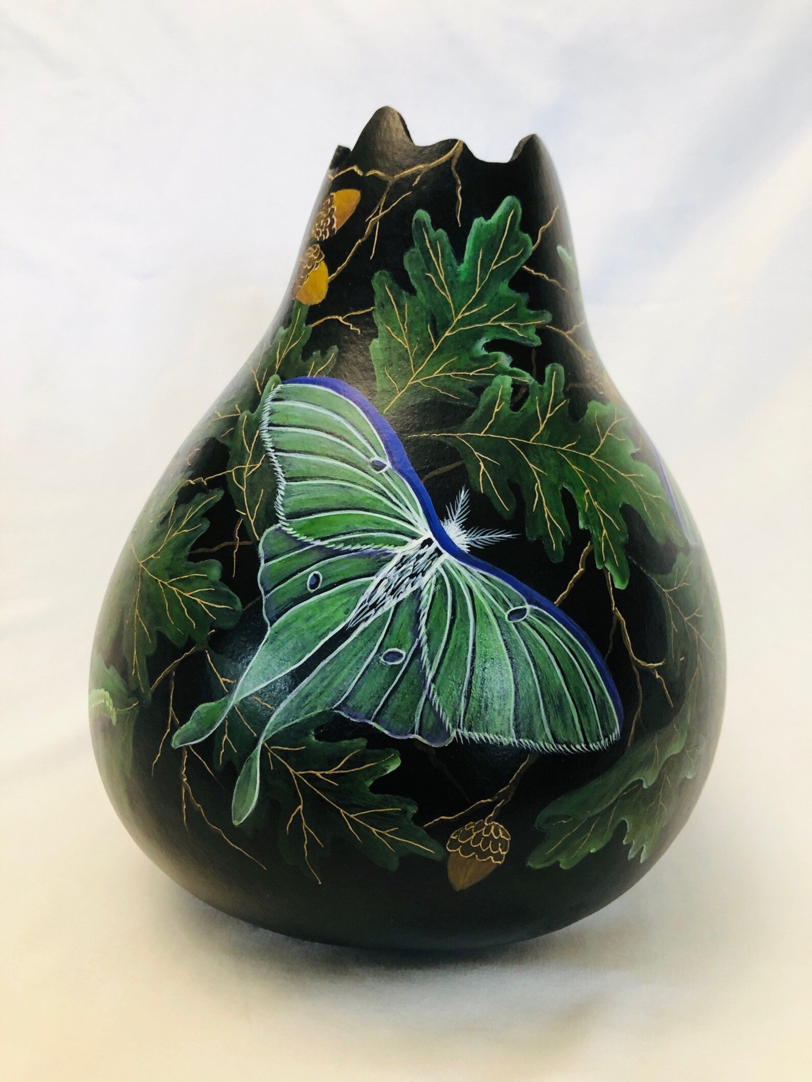 Luna Moth Gourd - Etsy