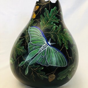Luna Moth Gourd - Etsy