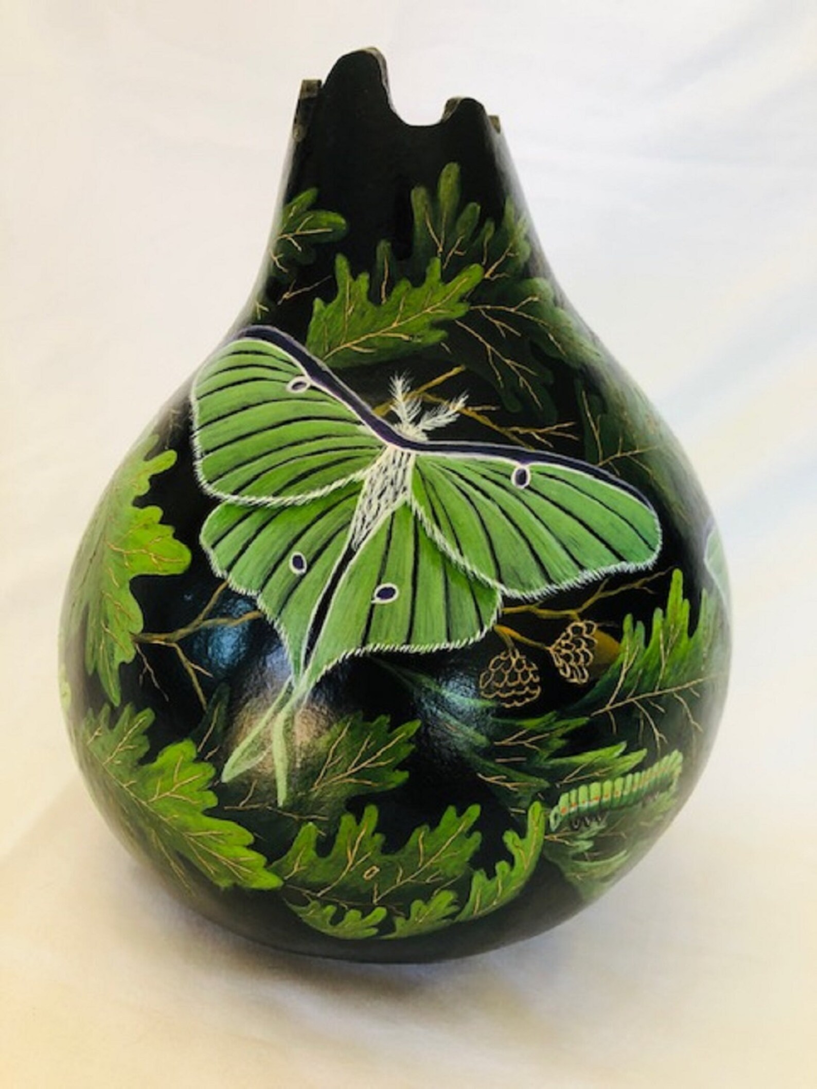 Luna Moth Gourd - Etsy