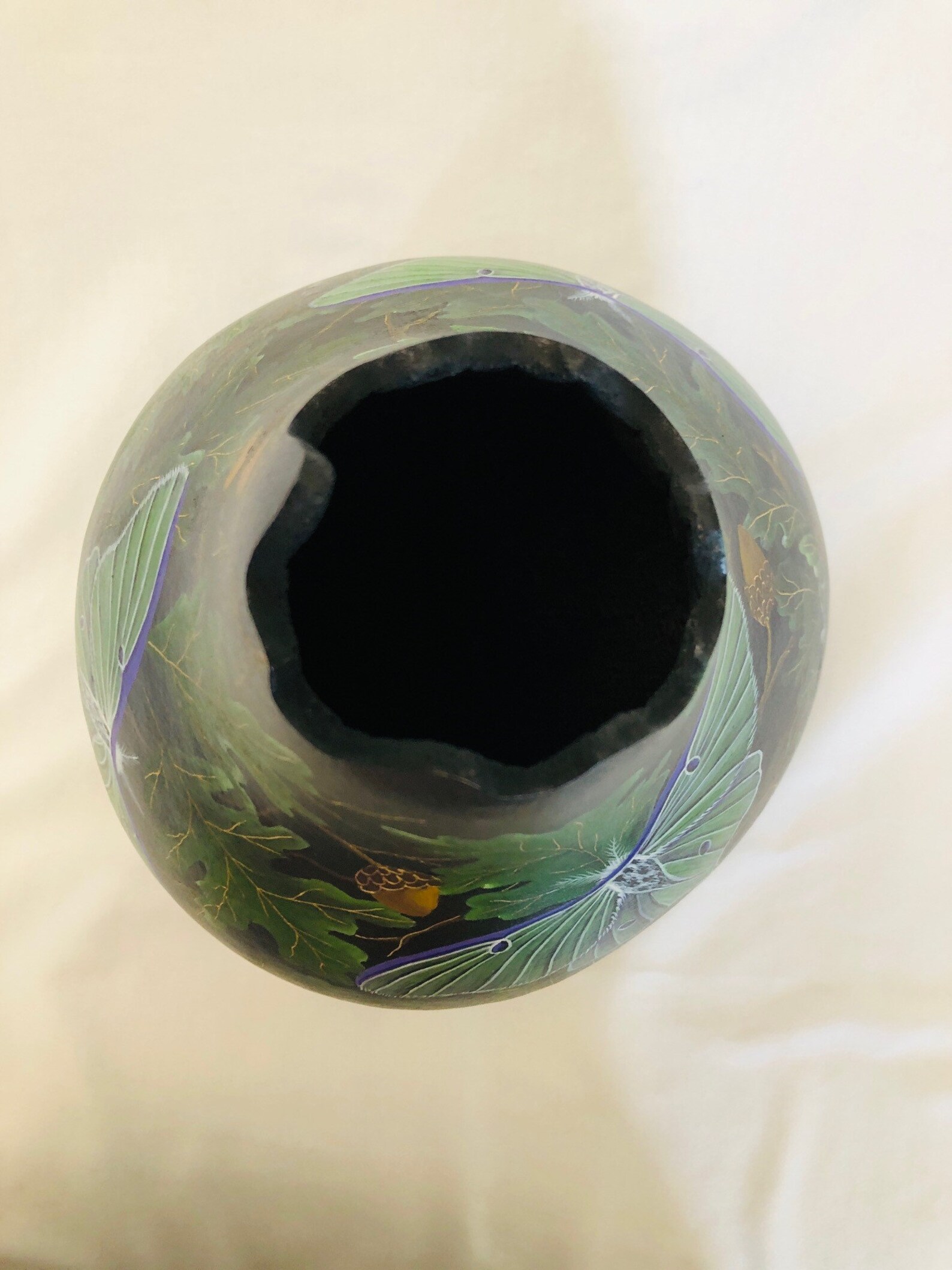 Luna Moth Gourd - Etsy