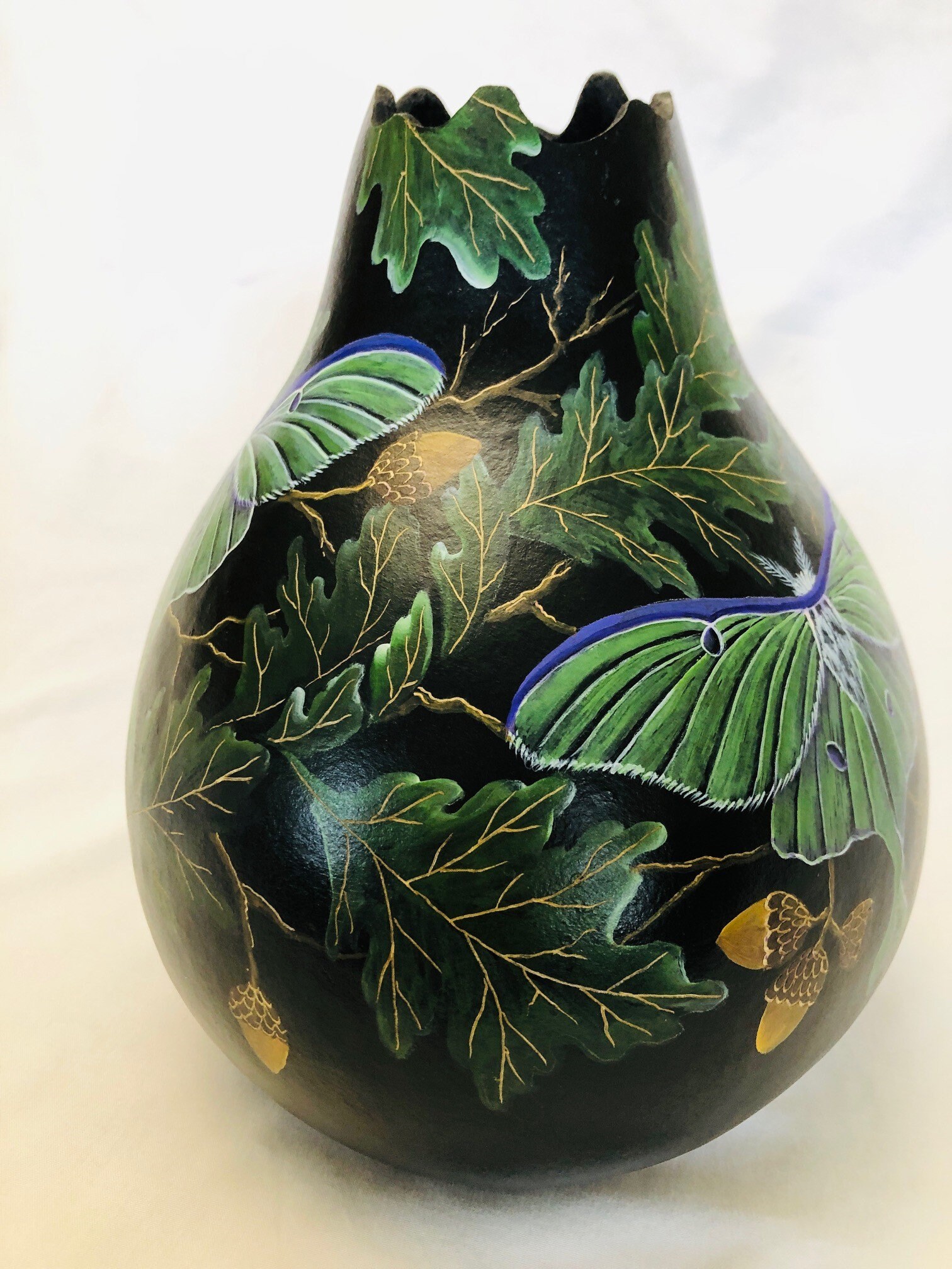 Luna Moth Gourd - Etsy