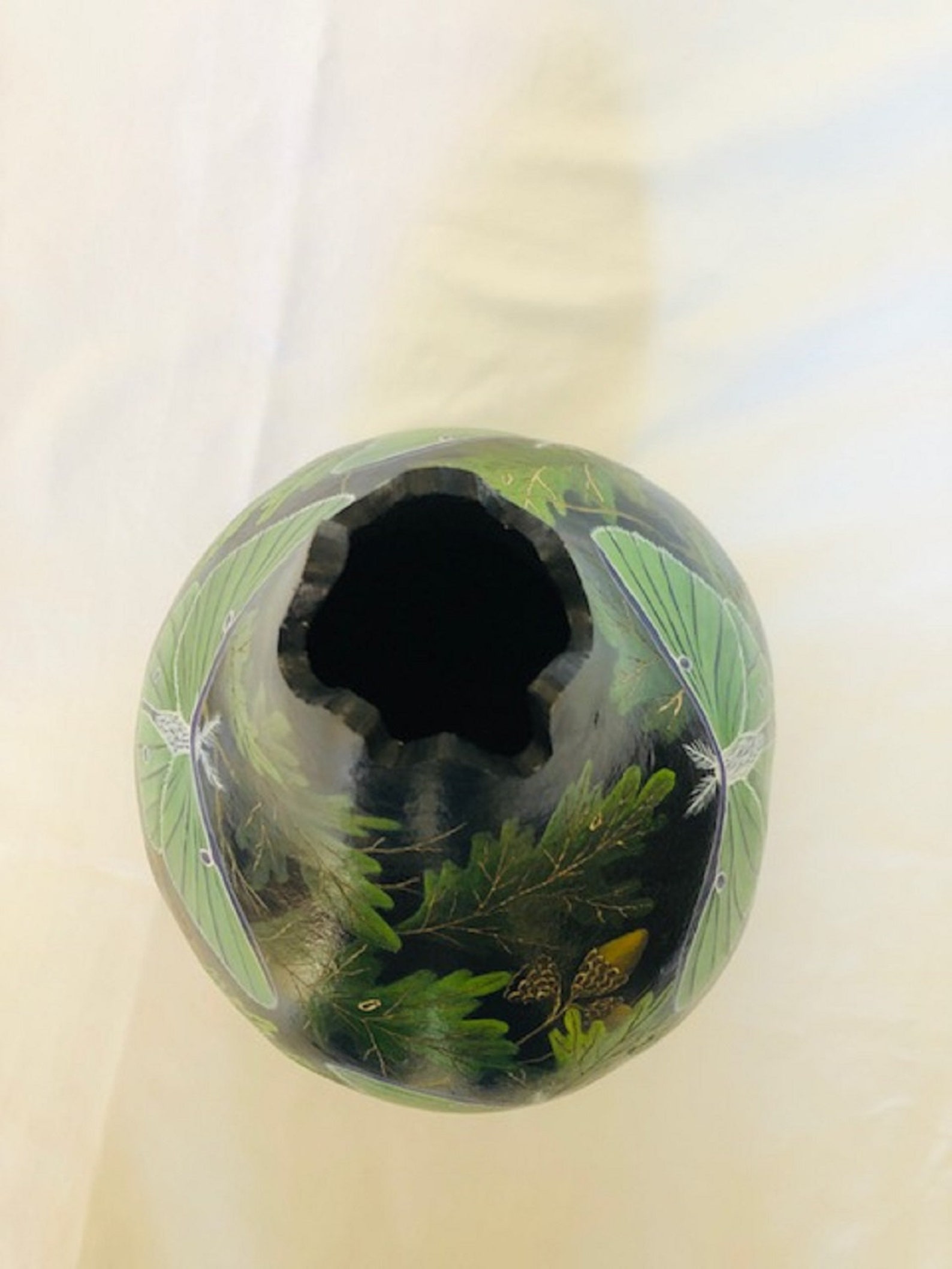 Luna Moth Gourd - Etsy