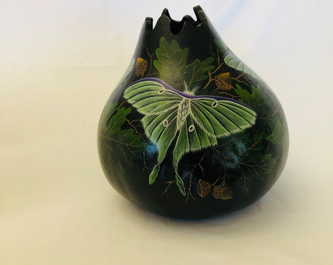 Luna Moth Gourd - Etsy