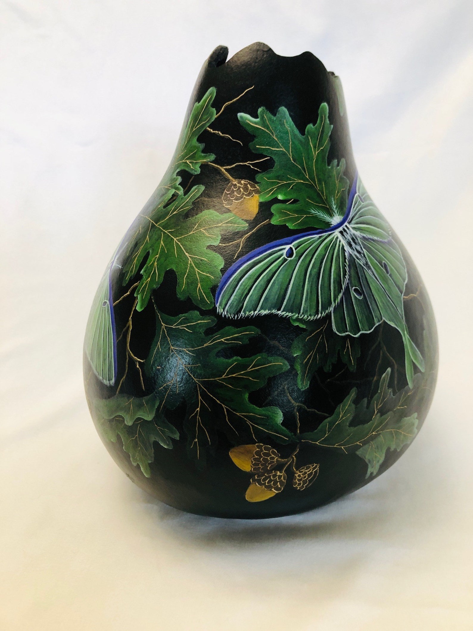 Luna Moth Gourd - Etsy