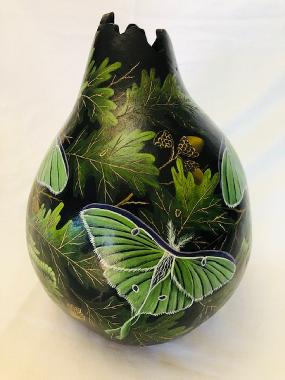 Luna Moth Gourd - Etsy