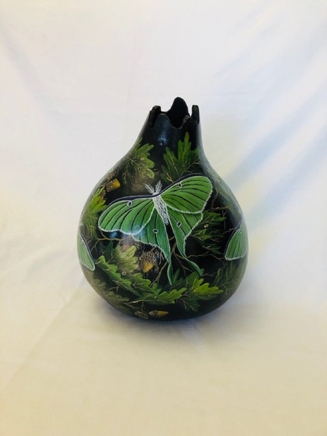 Luna Moth Gourd - Etsy