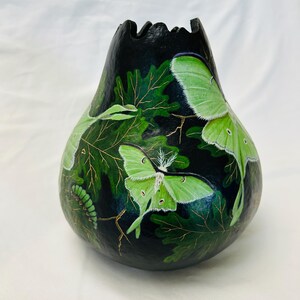 Luna Moth Gourd - Etsy