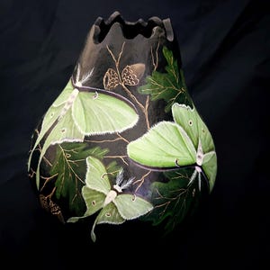Luna Moth Gourd - Etsy