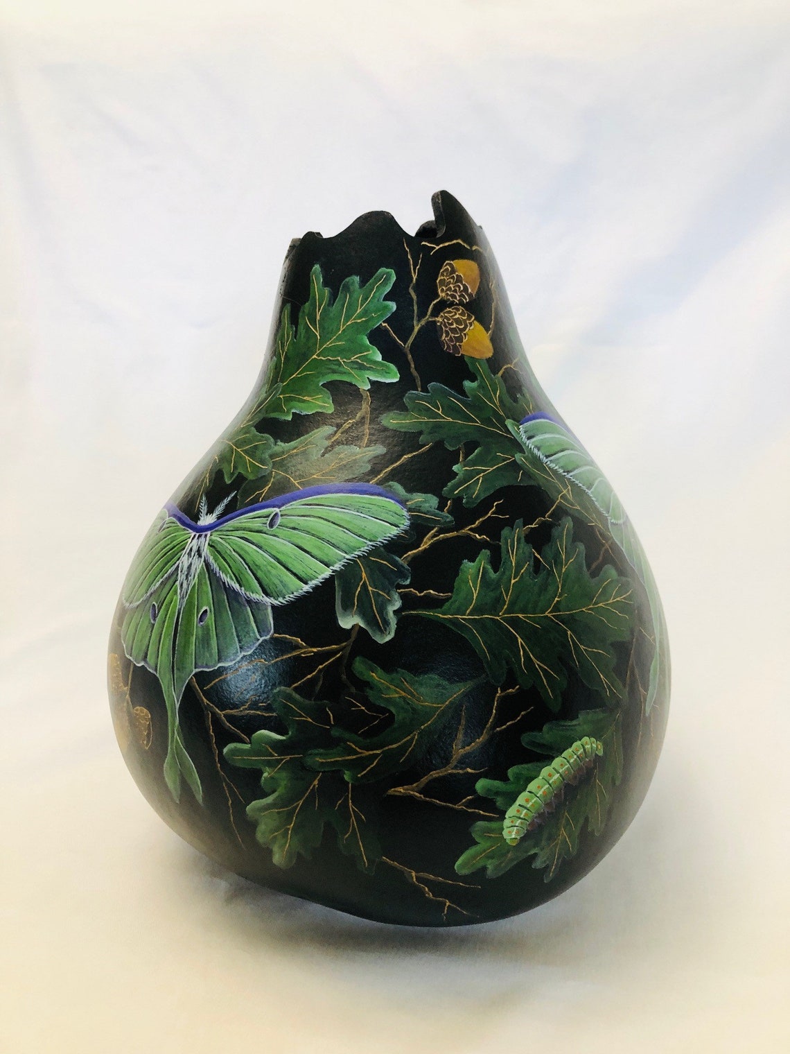 Luna Moth Gourd - Etsy