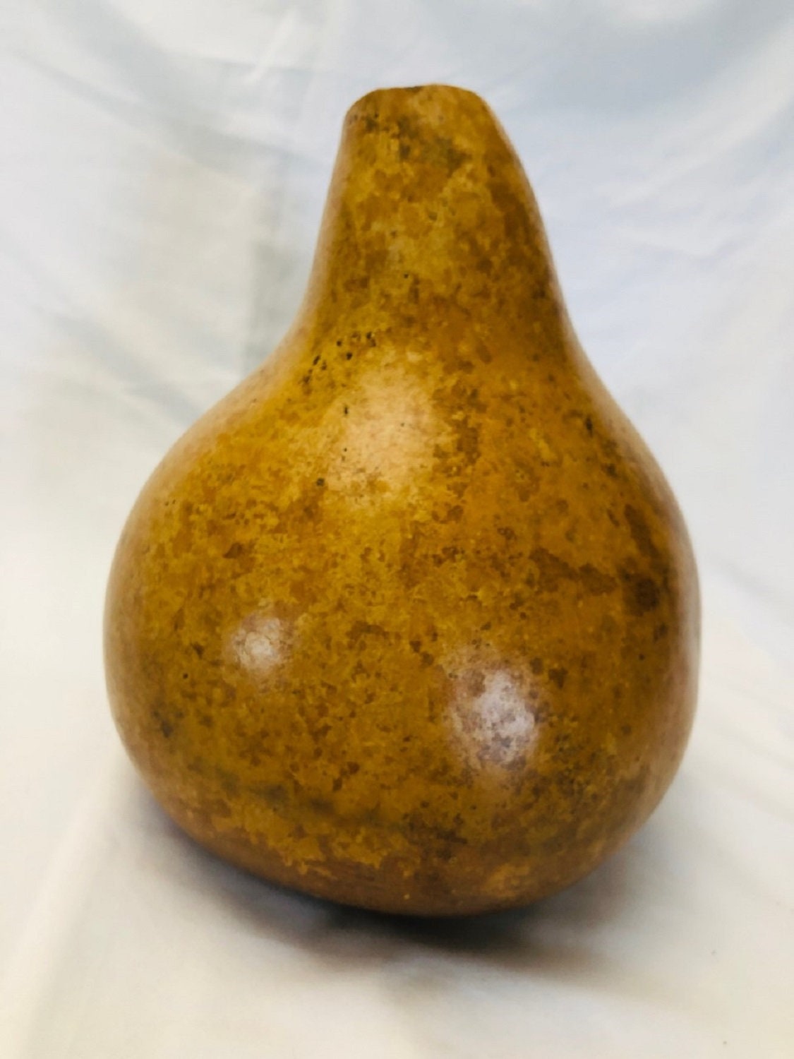 Blue Dragonfly Gourd - Etsy