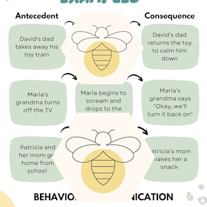 4 Functions of Behavior Parent Training Handout PDF Guide - Etsy