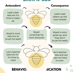 4 Functions of Behavior Parent Training Handout PDF Guide - Etsy