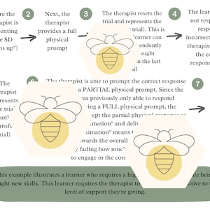 Transfer Trail/manding Handout for Parents and Therapists RBT ABA ...