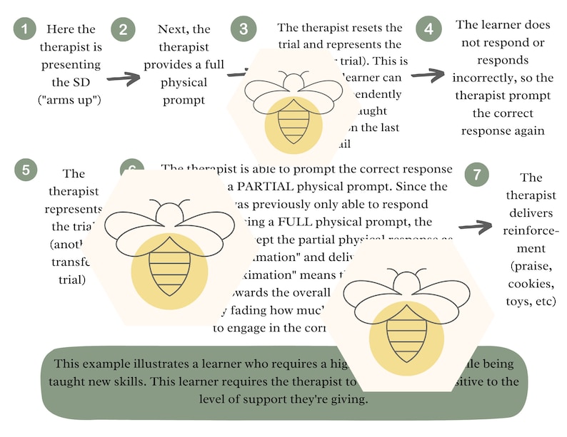 Transfer Trail/manding Handout for Parents and Therapists RBT ABA ...