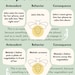 Reinforcement/punishment Consequences ABA Parent Training Handout ...