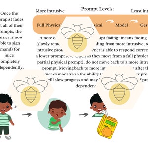 Transfer Trail/manding Handout for Parents and Therapists RBT ABA ...