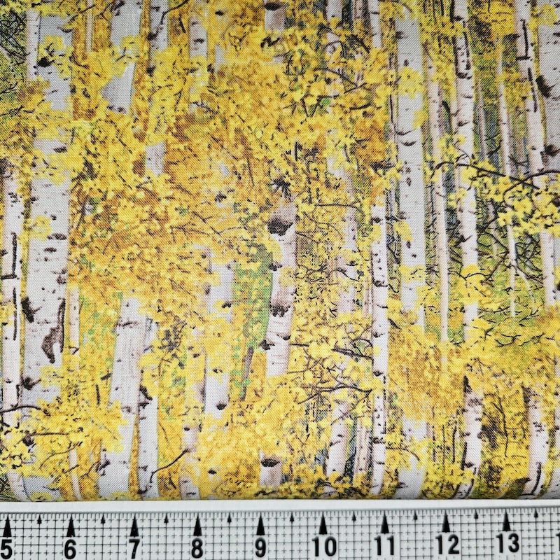 Birch Tree Fabric - Etsy