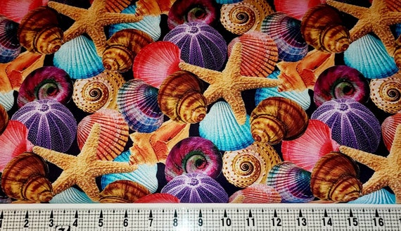 Studio E Fabrics Reef Life Seashells 5750 Fabric by the - Etsy