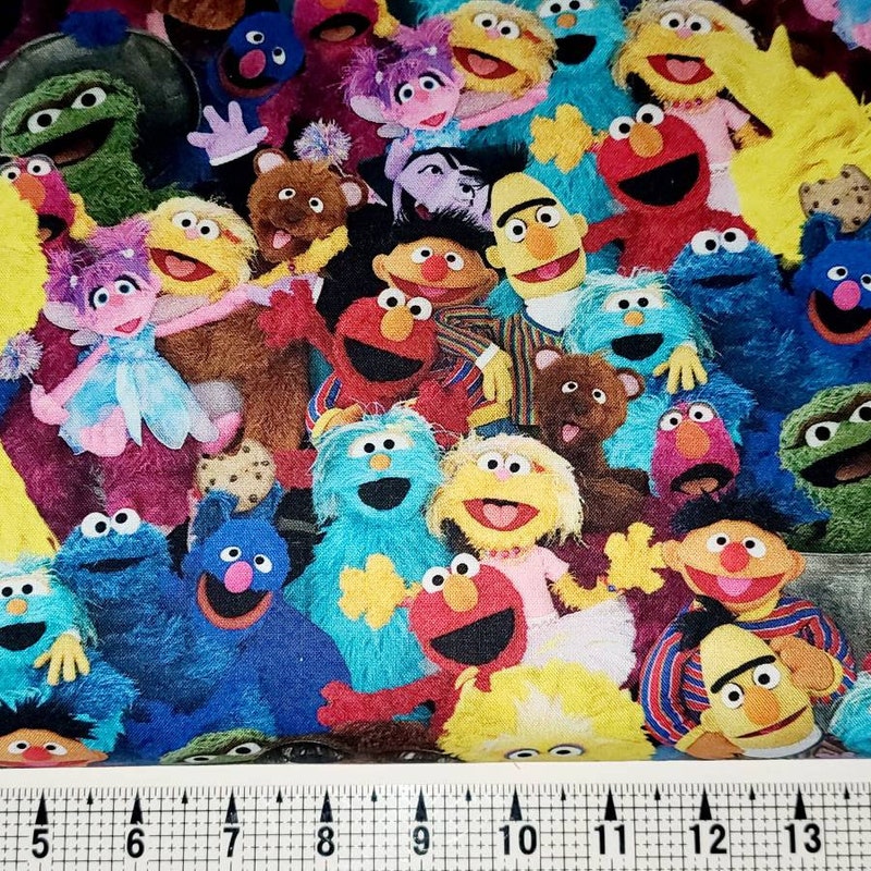 Sesame Street Fabric - Etsy