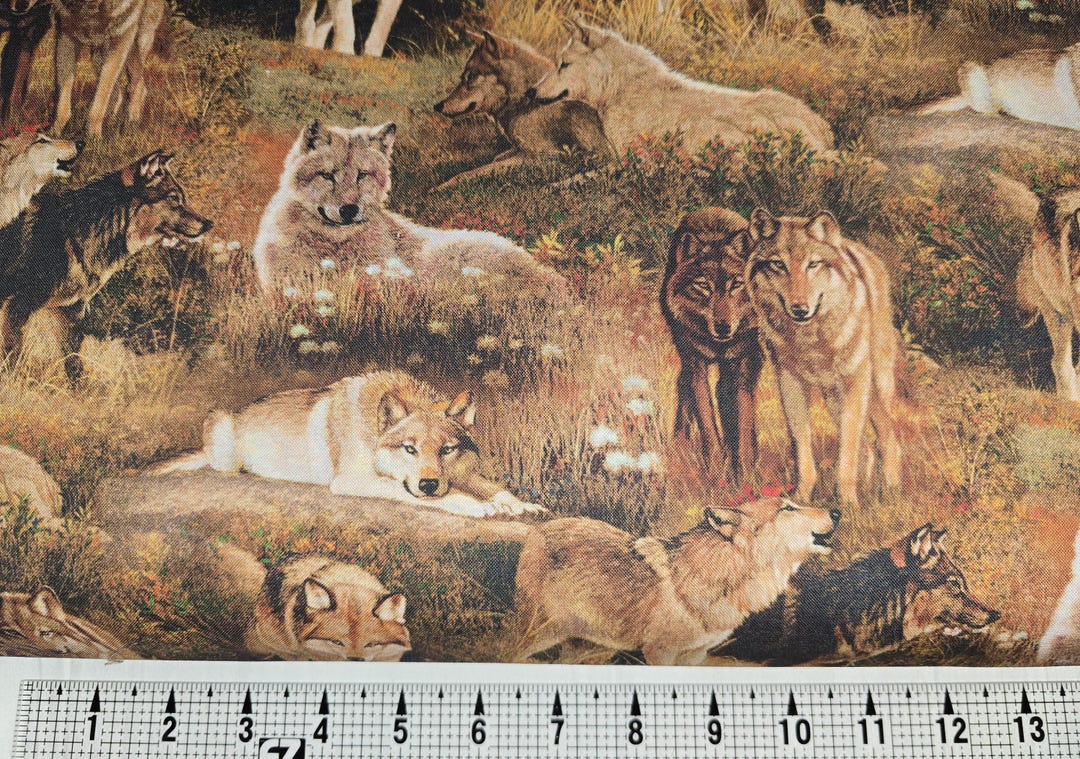 Springs Creative Territorial Trail Scenic Wolves CP42044 Fabric by the ...