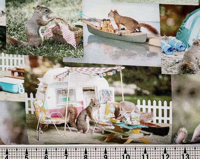 Clothworks Fabrics Secret Life of Squirrels Collage Y3778-55 Fabric by ...