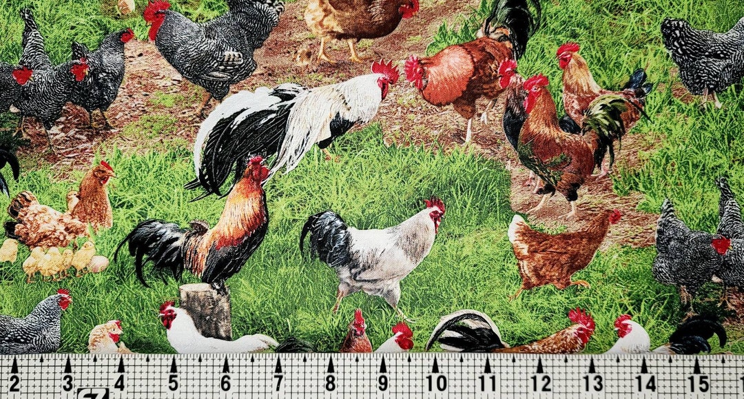 Elizabeth Studios Farm Animals Chickens 354 Fabric by the Yard//piece ...