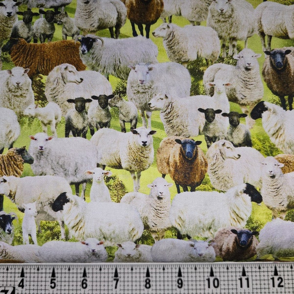 Sheep Fabric - Etsy