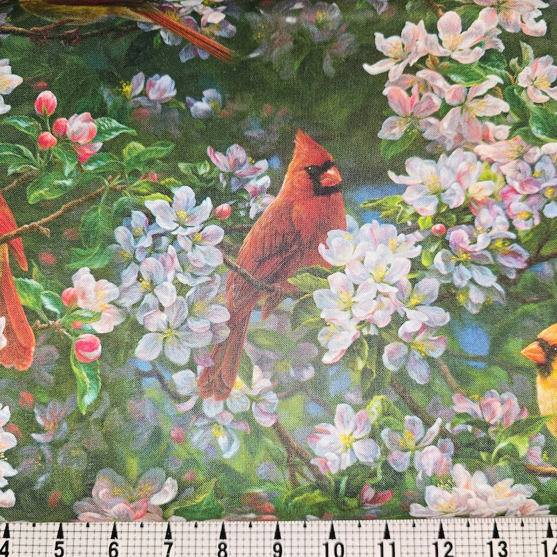 Cardinal Fabric - Etsy Canada