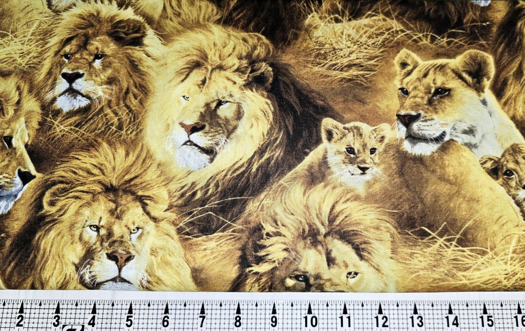 David Textiles Among the Lions Fabric by the Yard//piece - Etsy