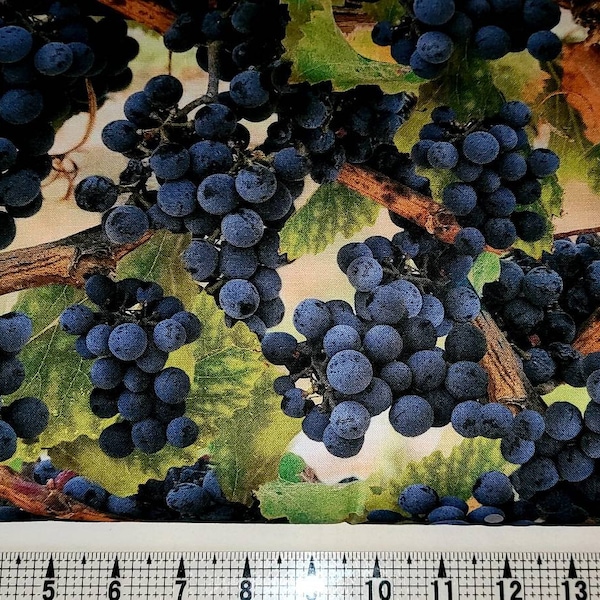 Grape Vine Wine - Etsy
