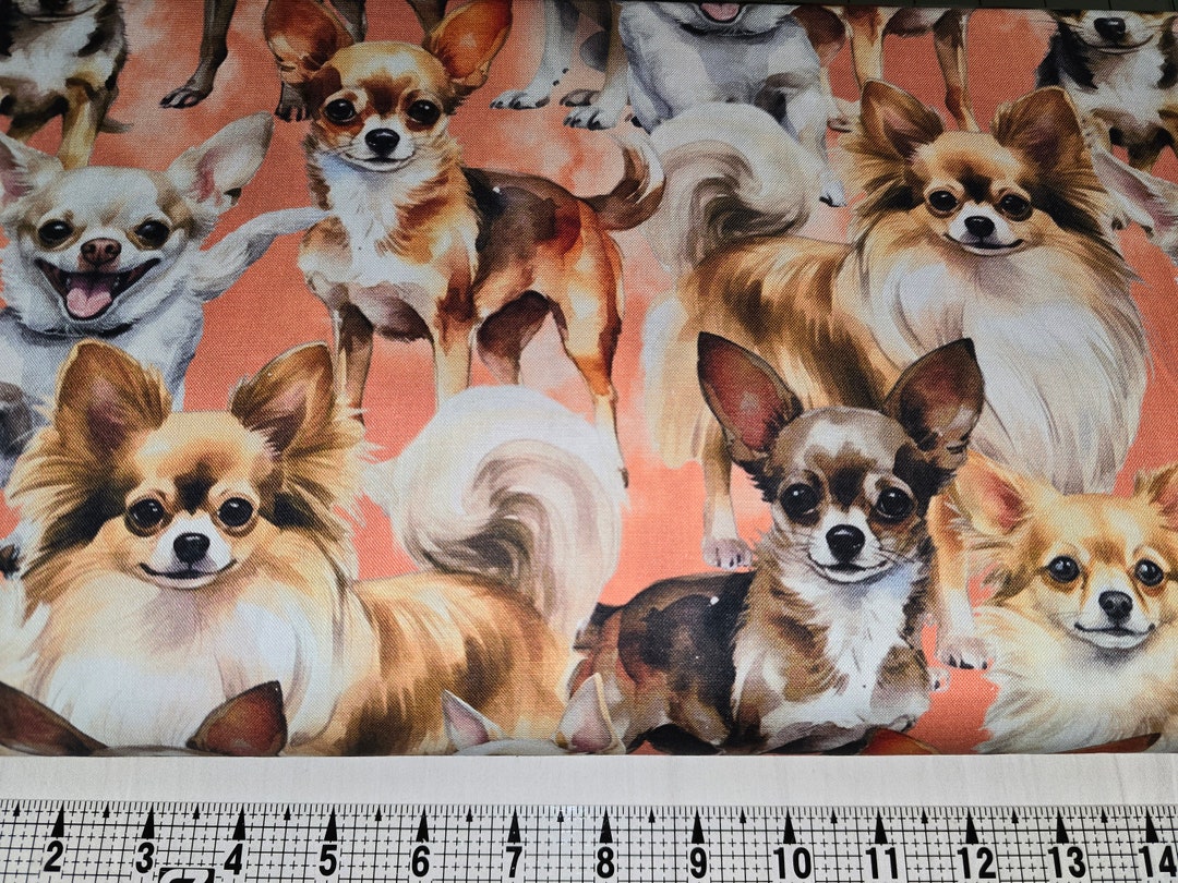 David Textiles Chihuahuas DX-4819-3C Fabric by the Yard//piece - Etsy