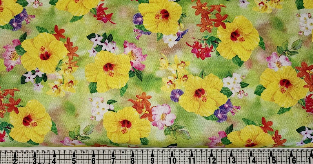 Quilting Treasures Hummingbird Garden 1649-28154-H Fabric by the Yard ...