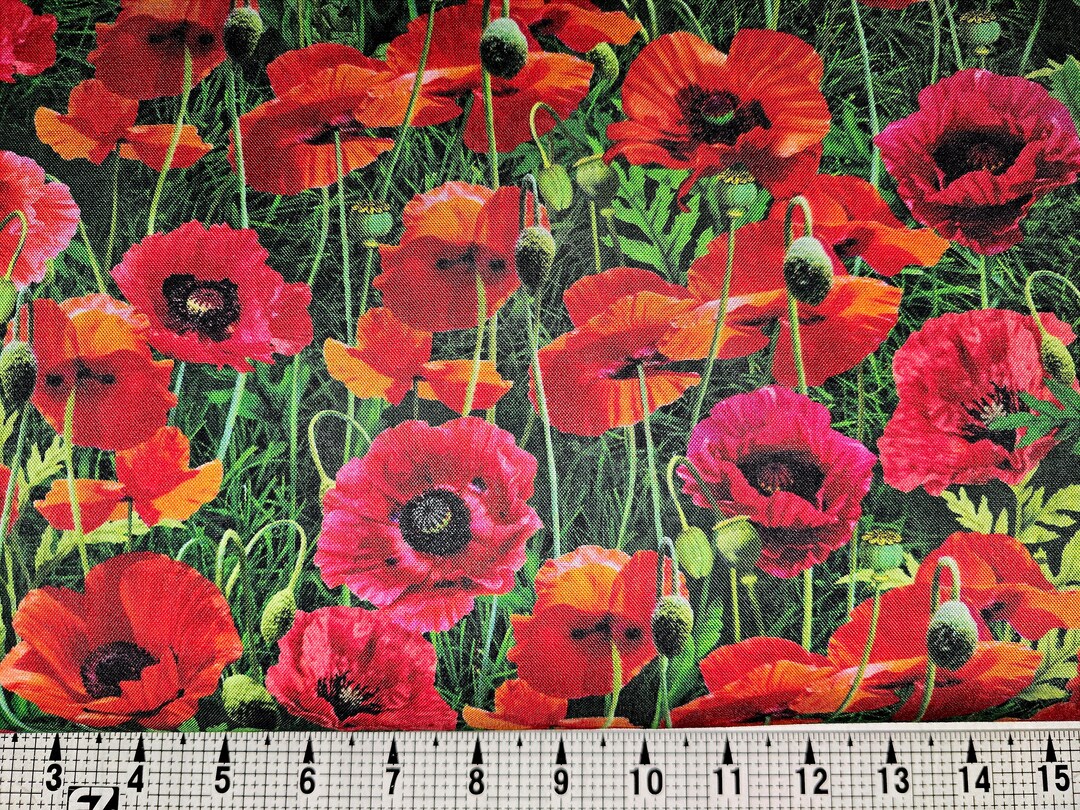 Michael Miller Ruby Chatty Poppy DCX11776 Fabric by the Yard//piece - Etsy