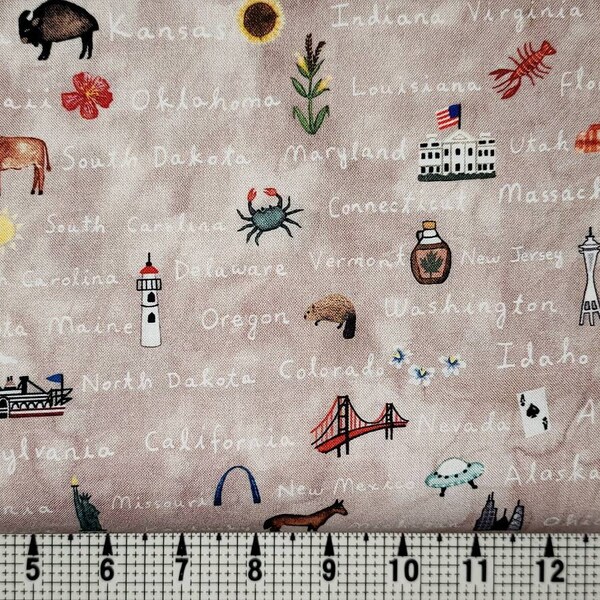 Usa Map Fabric Panel - Etsy