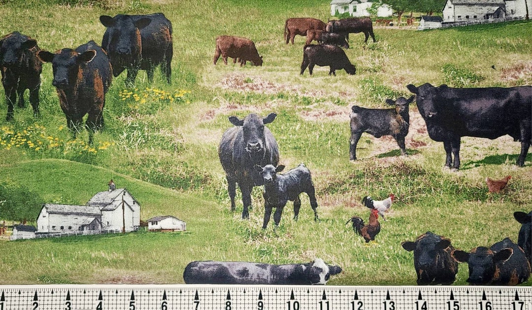 Elizabeth Studios Farm Animals Black Angus 515 Fabric by the Yard ...