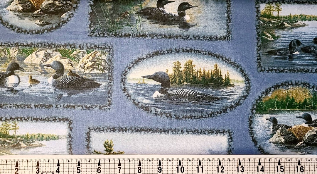 VIP Cranston Loons 1121-62364-KB Fabric by the Yard//piece - Etsy