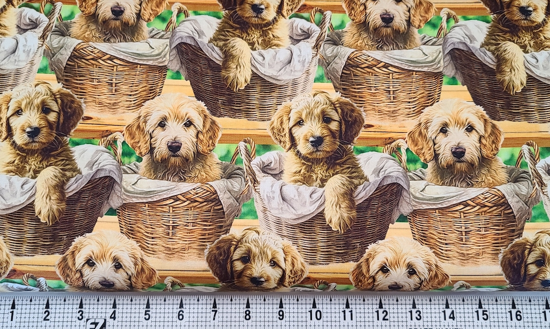 David Textiles Baby Goldendoodles DX-4284-3C Fabric by the Yard//piece ...