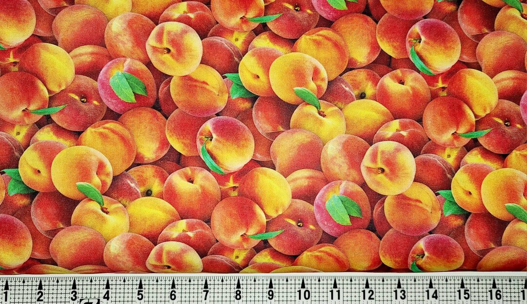 Elizabeth Studios Food Festival Peaches 578 Fabric by the Yard//piece ...