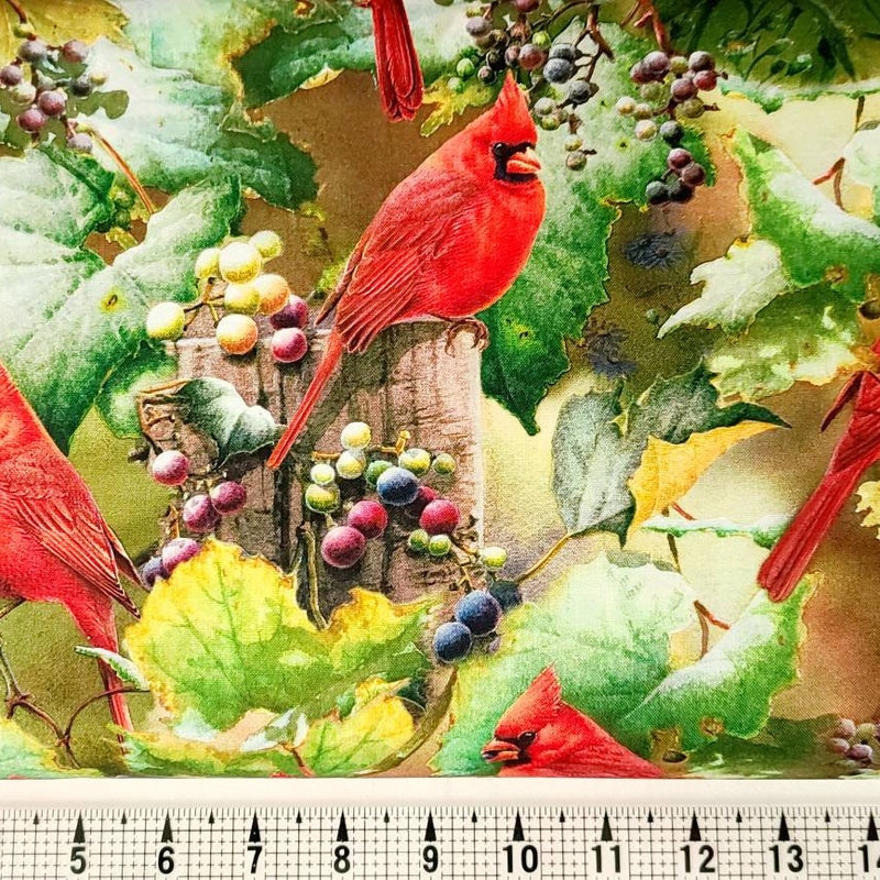 Cardinal Fabric - Etsy Canada