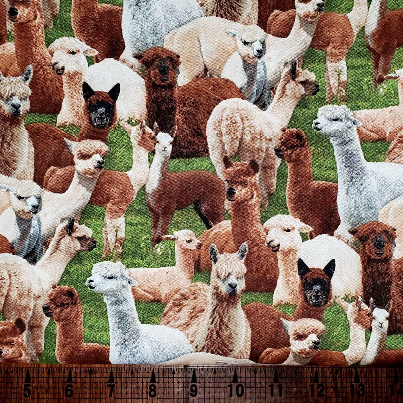 Fabric Print Alpaca - Etsy
