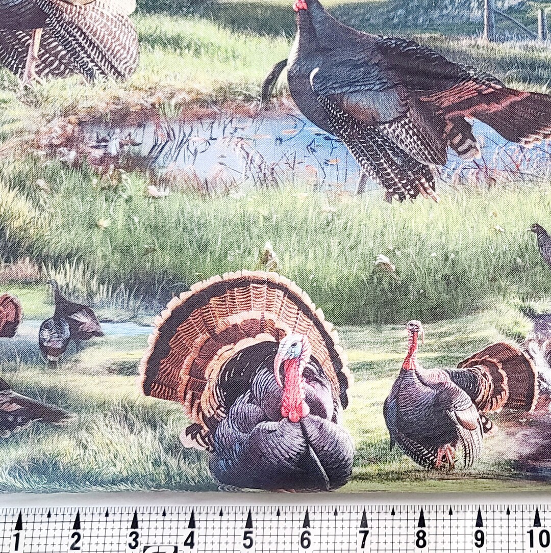 Springs Creative Wild Fancy Turkey CP59989 Fabric by the Yard//piece - Etsy