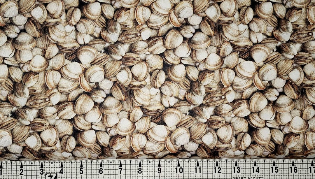 Elizabeth Studios Food Festival Clams 623 Fabric by the Yard//piece - Etsy