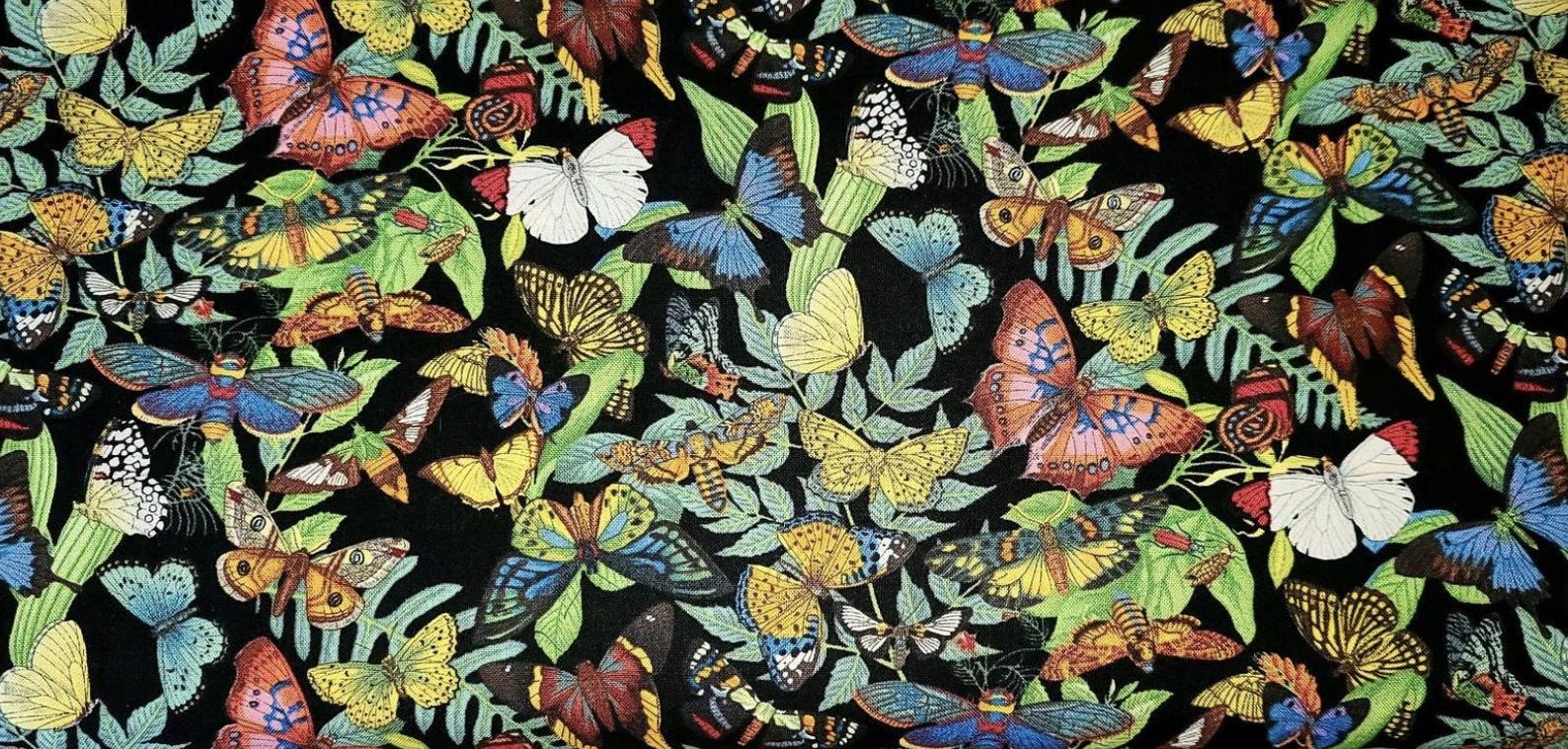 Elizabeth Studios Secret Escape Butterflies 18001 Fabric by the Yard ...