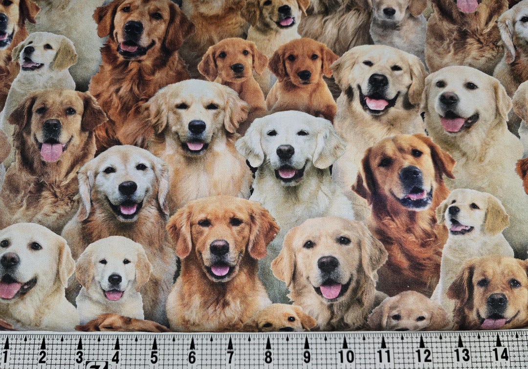 Elizabeth Studios Best Friend Golden Retriever 708 Fabric by the Yard ...