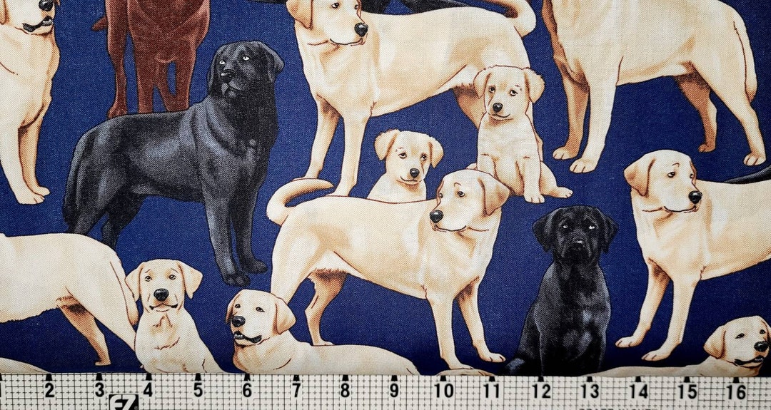 Timeless Treasures Labrador/labs on Navy C3240 Fabric by the Yard ...