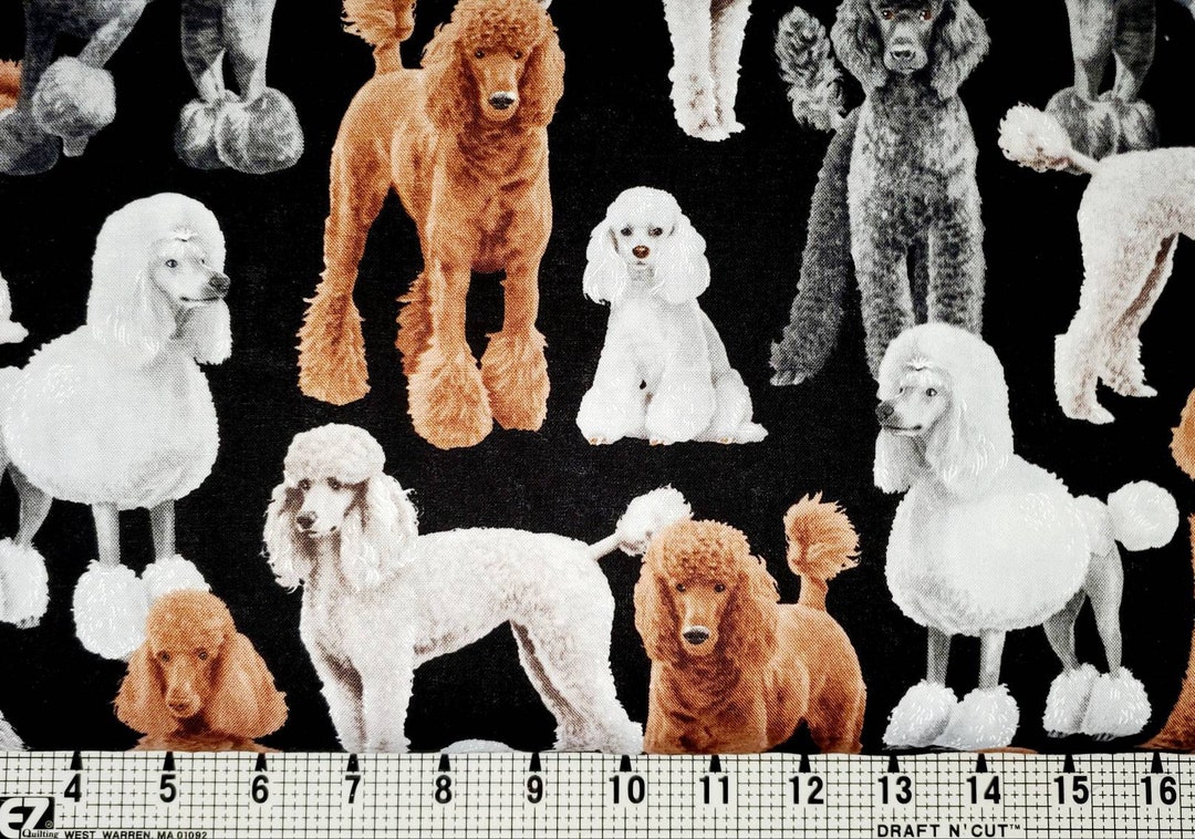 Timeless Treasures Poodle Dog C7527 Fabric by the Yard//piece - Etsy