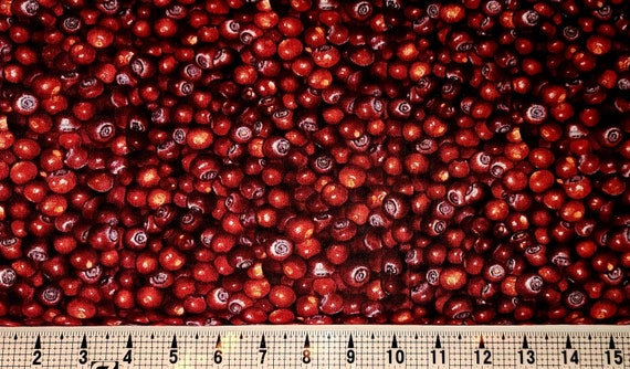 Cranberries Fabric by the Yard/piece | Etsy