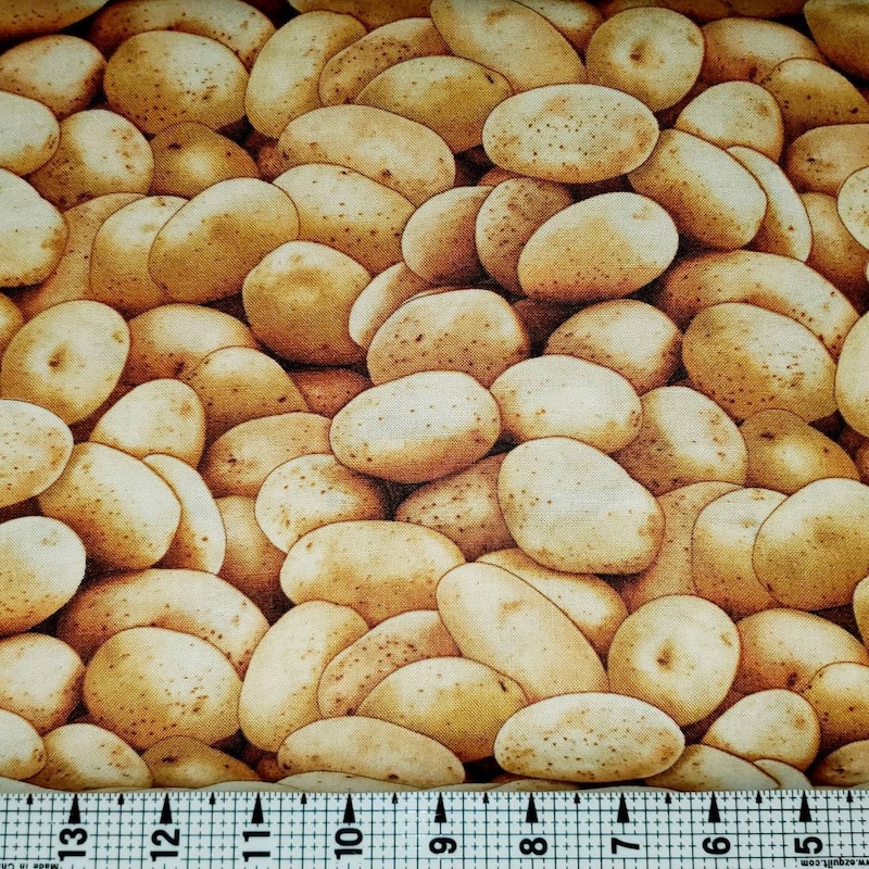 Cotton Flannel Food Print - Etsy