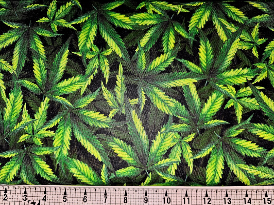 David Textiles Cannabis Leaves on Black DX-1324-0C Fabric by the Yard ...